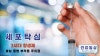 세포탁심 주사 1g 항생제 효능 용법 부작용 효과 뇌수막염 임질 폐렴 네이버 블로그
